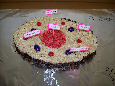 Mr. C's Class Blog: Fifth Grade Cell Models