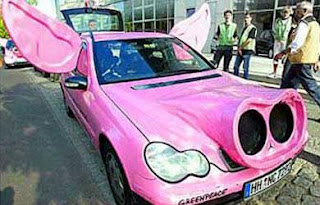 MC AUTO: Auto Cerdo