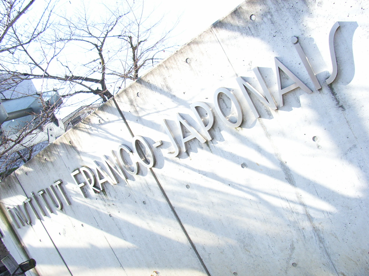 We Are One Japan: Celebrate Cultural Diversity in Japan with the Hafu ...