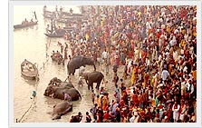 Welcome to the Grand Sonepur Mela 2010 – India’s Pride, the Sonepur ...