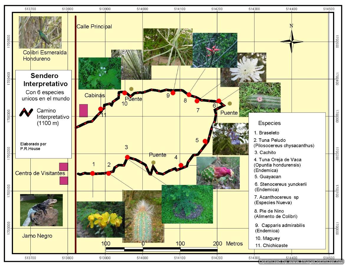 Sendero Interpretativo del Bosque Muy Seco Tropical : El Comejamo ...
