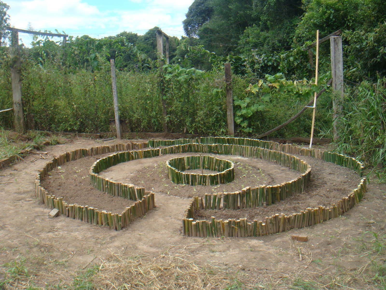 Casa da vó Nene: Horta-mandala