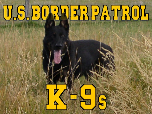 U.S. Border Narcotics Intelligence: The U.S. Border Patrols Best Weapon ...