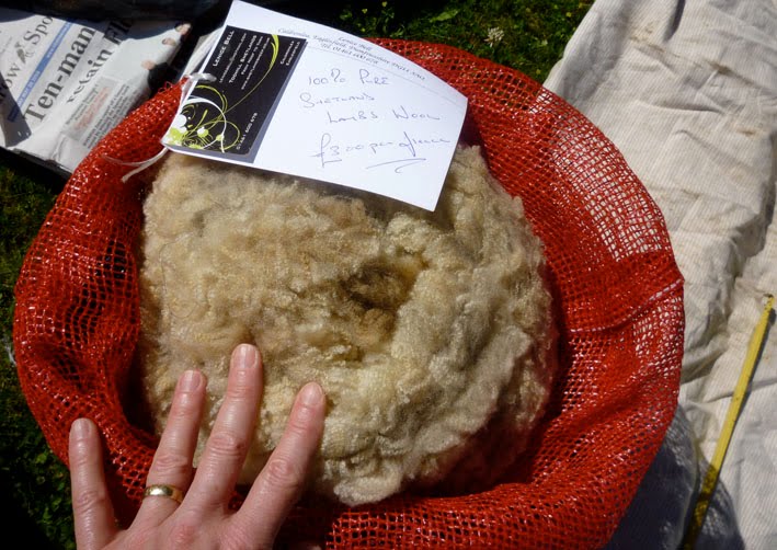 Carpe diem!: Exploring a Fleece: Grading and Sorting