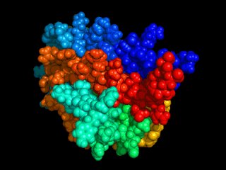 laboratorio clinico: ERITROPOYETINA :)♥♥