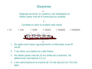 Microbiologia_2008-2010: toma de muestra, dilusion y analisis del agua