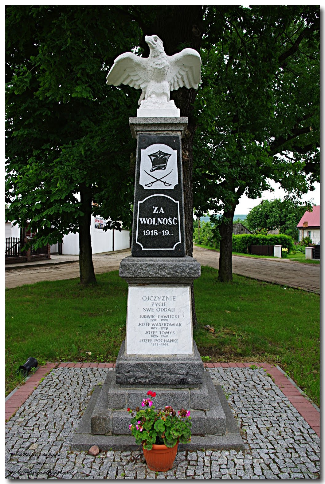 Mochy | W o l s z t y n