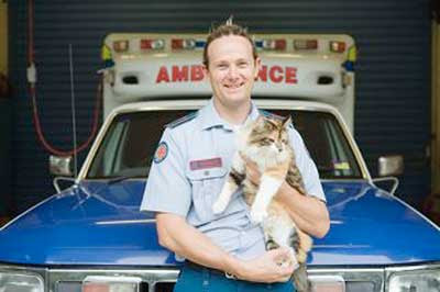 Nothing To Do With Arbroath: Cat survives high-speed ambulance ride
