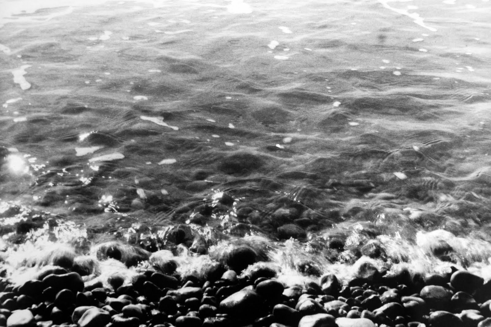 Photography.: Rhythm in Nature