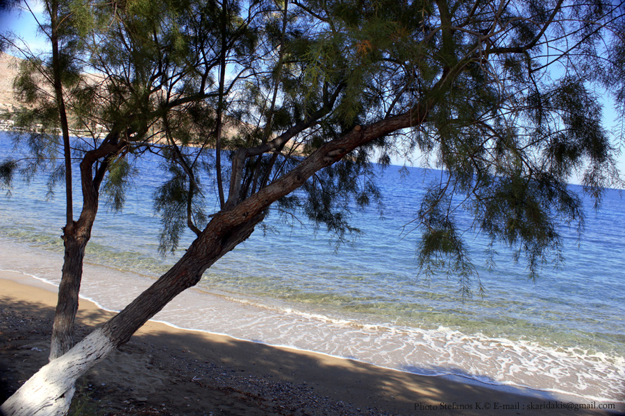 Πάμε ένα ταξίδι;-Will you travel with me?: Εκδρομή στην Λέρο ...