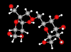 Aprende Mas sobre la Sacarosa