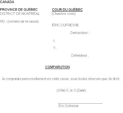 INFORMATION JUSTICE: Se représenter soi-même devant un tribunal : 5 ...