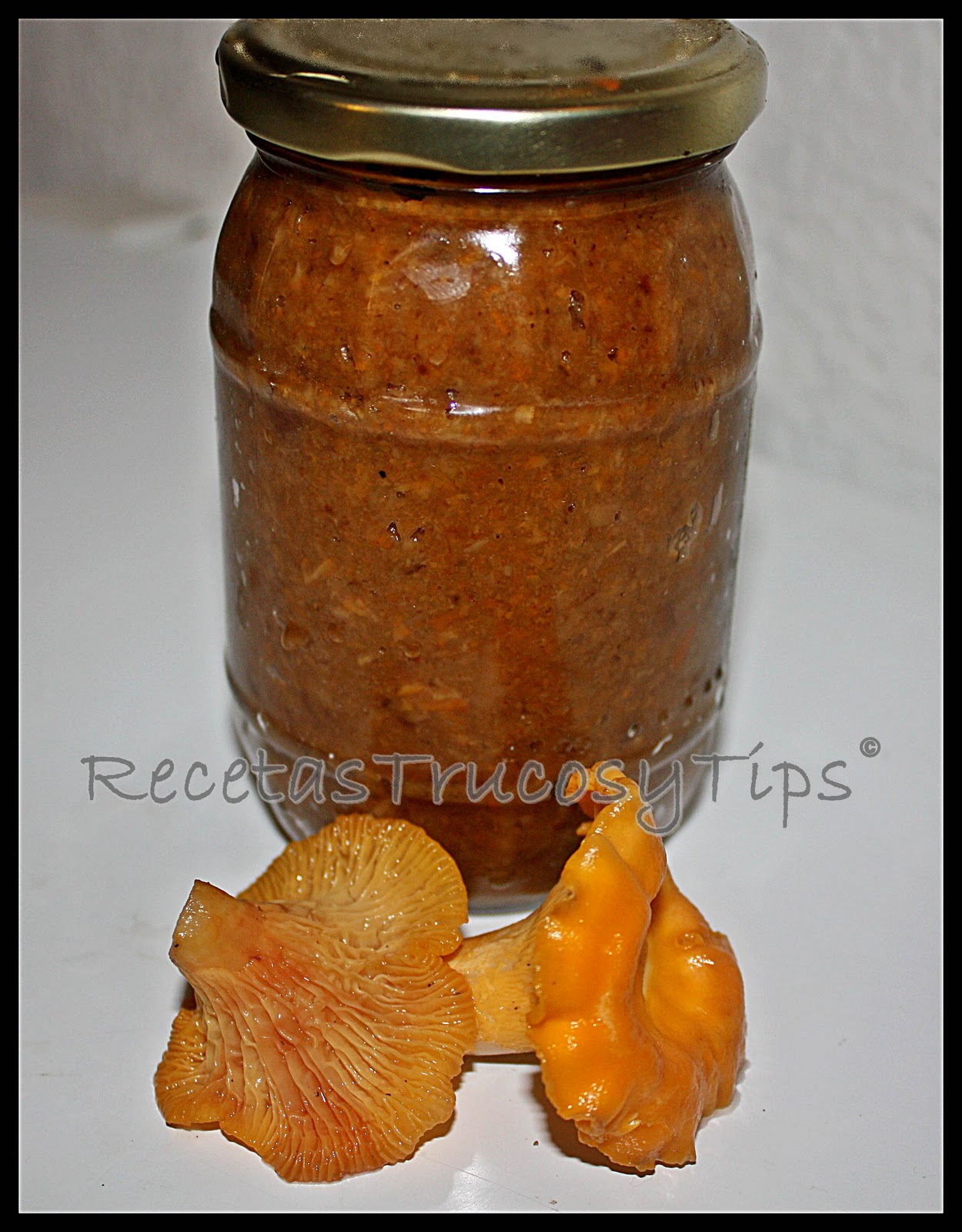 Mermelada de rebozuelos o cantarelas / Melmelada de rossinyols ...