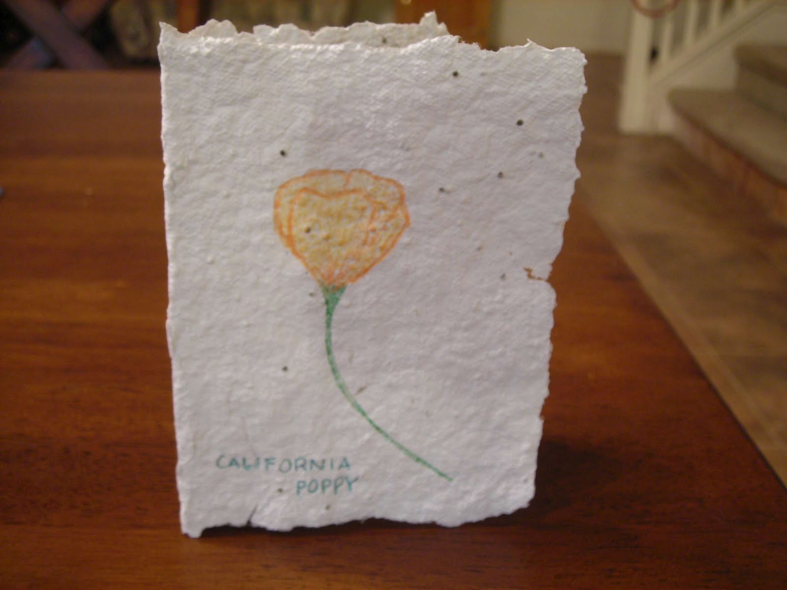 Rad Linc Crafts: Plantable Cards