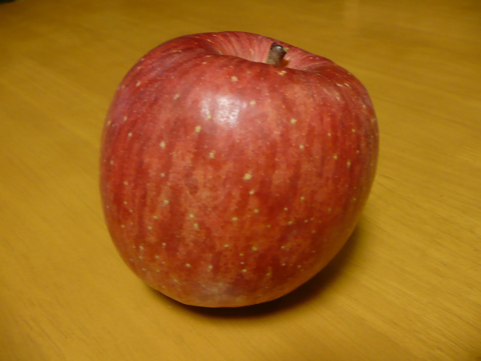 AVY IN JAPAN: The Fuji Apple - "Live"