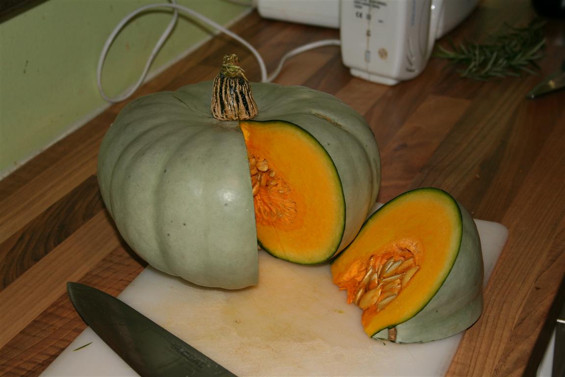 Food for thought: The Soup Off! Blue Pumpkin VS Roasted Butternut Squash