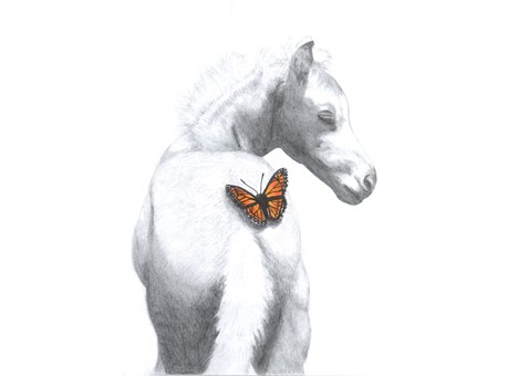 Anne Rothfuss: Drawings