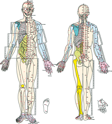 "Acupoints on human body" | ART-TEMPLATE