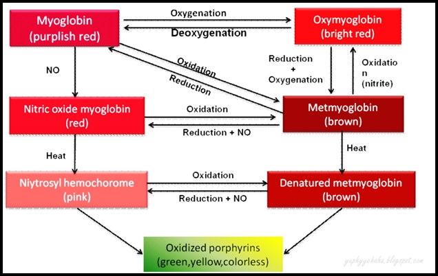 (DOCX) Mekanisme Curing - DOKUMEN.TIPS