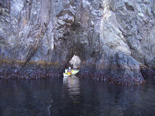 Newfoundland Sea Kayaking: Chance Cove, Trinity Bay, August 2005