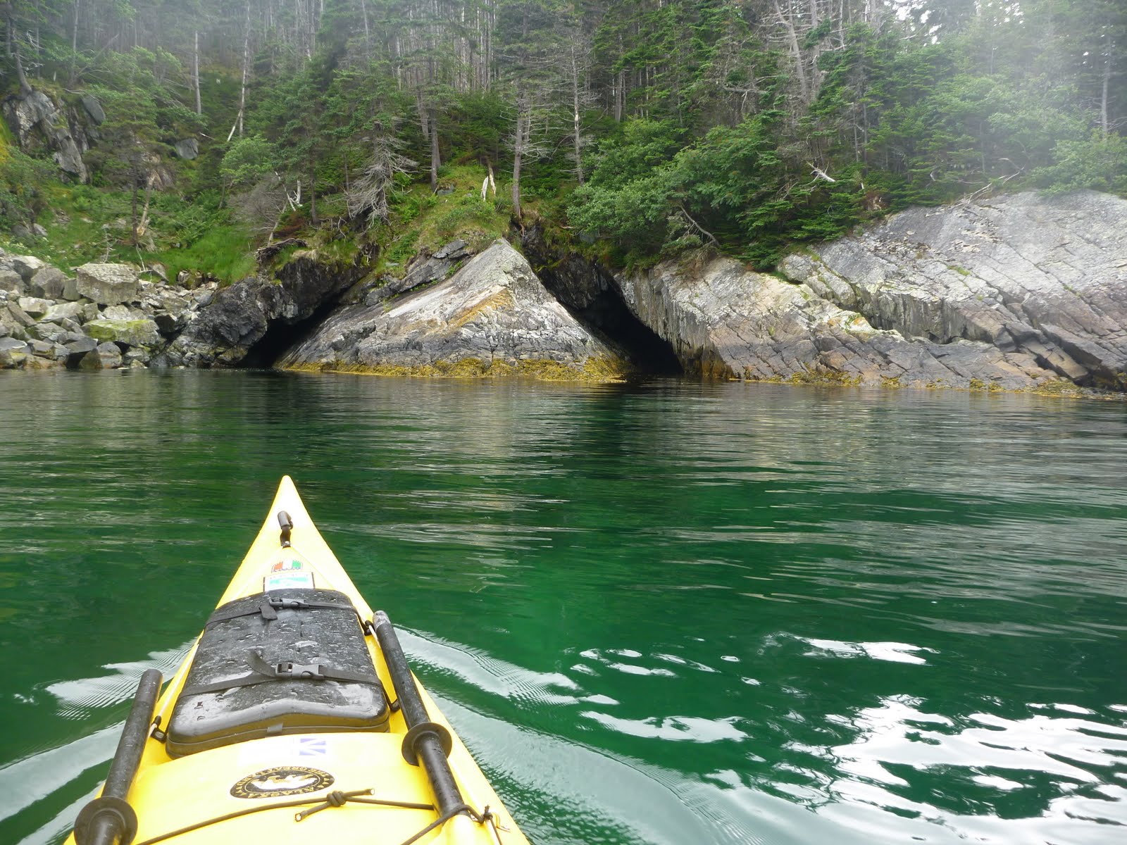 Newfoundland Sea Kayaking: Bay Bulls