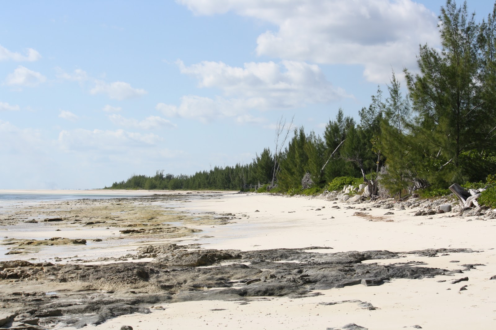 Babes in Bahamas