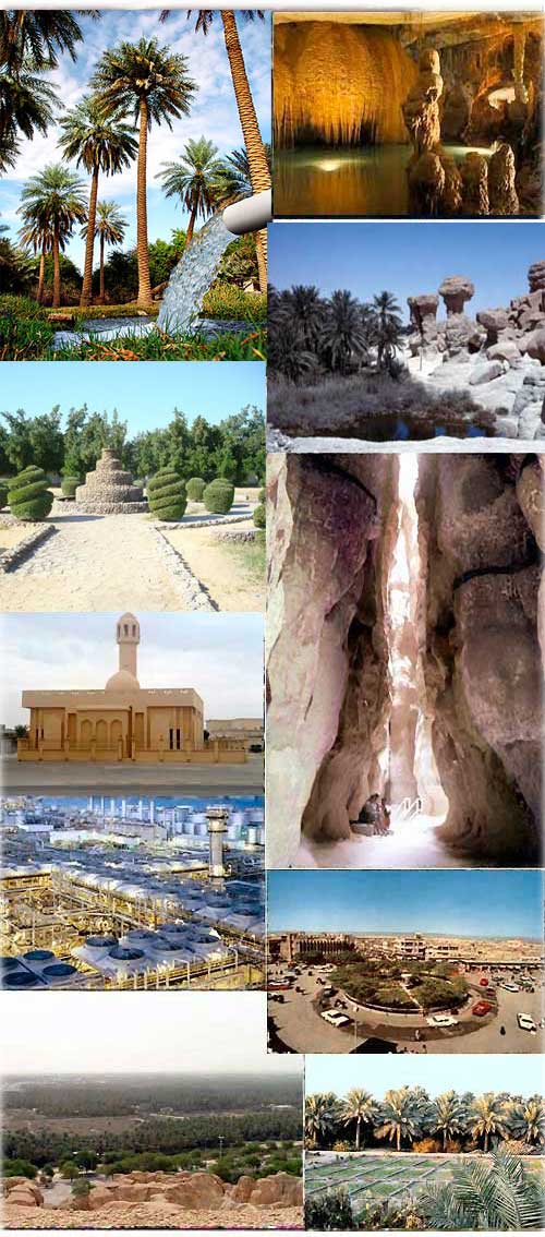 Amici-in-allegria: Al-hasa oasis ‎ الأحساء‎