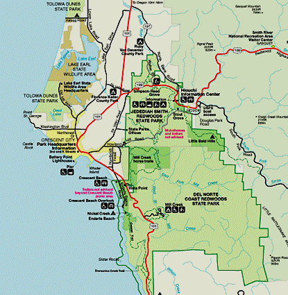 Red Wood Forest Nation Park: Red Wood Forest National Park Location and ...