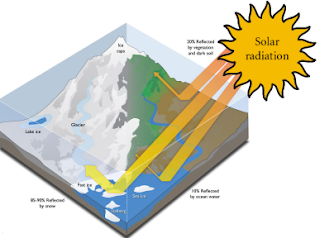 EAMCET Zoology: Albedo