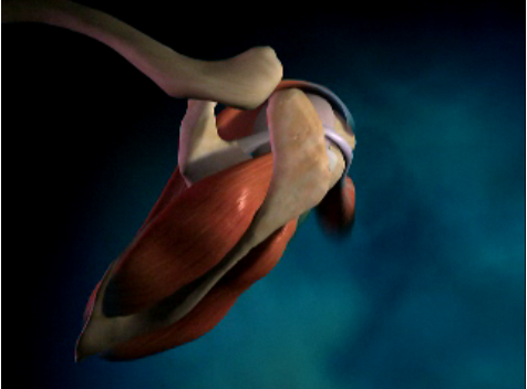 begin to dig: Unpacking a mystery: when shoulder pain may be all (or ...