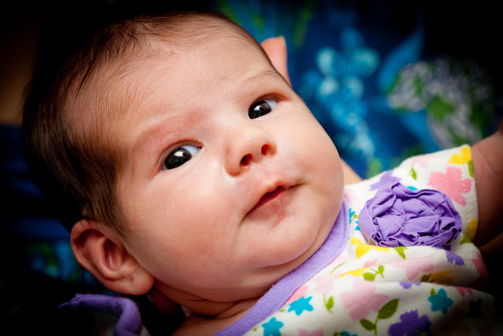 Aemiessence Fine Arts: Baby Finn, Just Shy of Two Weeks Old: September ...