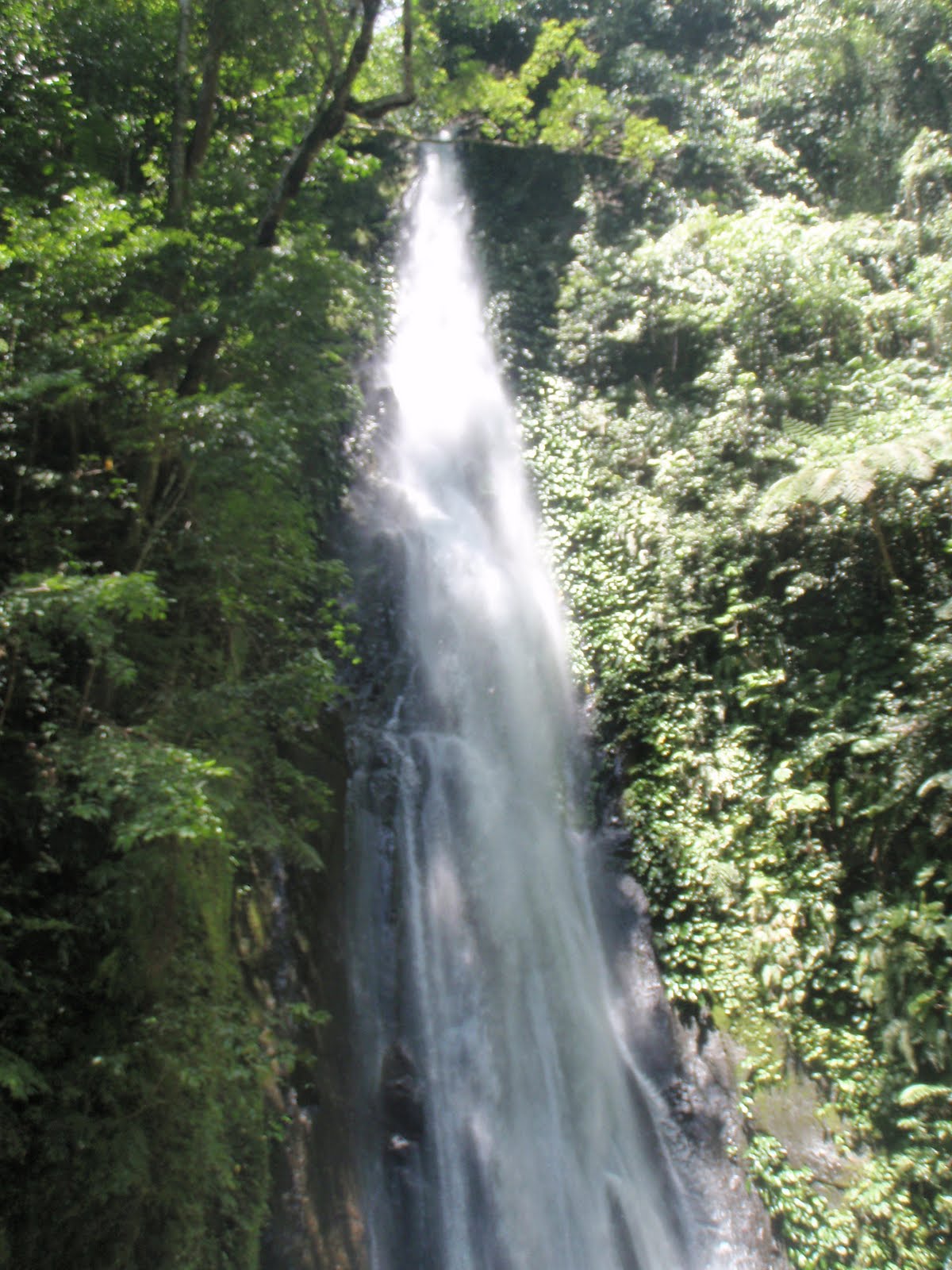 The Journey: Mt.Patag Revisited