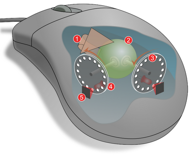 FUNCION DEL MOUSE Y DEL RATON: RATON O MOUSE