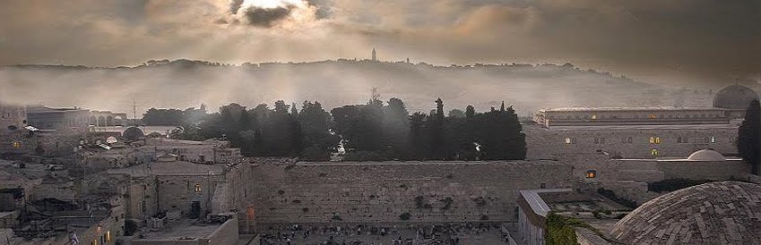 Vu de Jerusalem - ירושלים - القـُدْس: Adam, de Nature à Culture