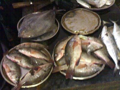 Karwar Daily Photo: Fish on display in Karwar Fish Market