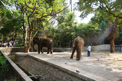 PAWS-Mumbai Photographs: PAWS-Mumbai visited Veermata Jijabai Bhonsle ...