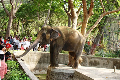 PAWS-Mumbai Photographs: PAWS-Mumbai visited Veermata Jijabai Bhonsle ...