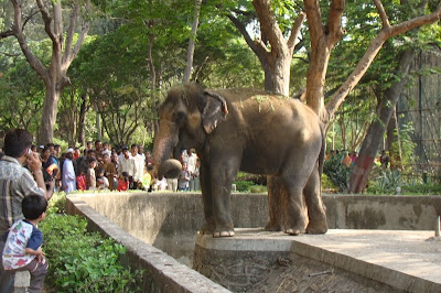 PAWS-Mumbai Photographs: PAWS-Mumbai visited Veermata Jijabai Bhonsle ...