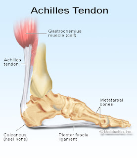 Cetusan Minda: ..Di Sebalik Ke- ELEGAN-an..