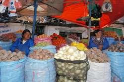 Suvinca llega para firmar acuerdos con exportadores