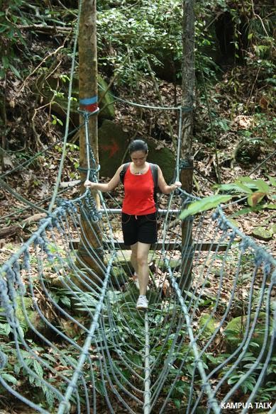 Initiative Or What?: Creature Comforts - Forests