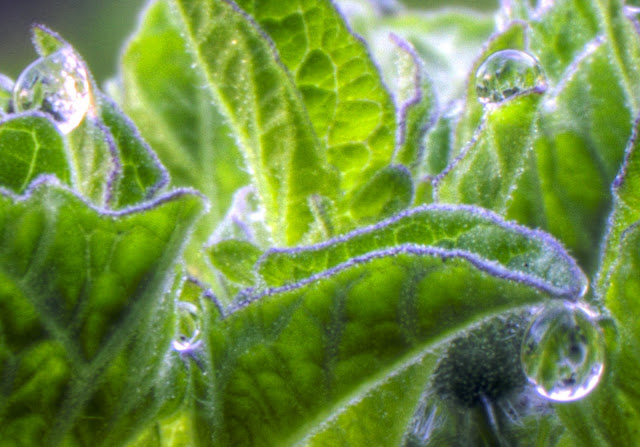 Misterken's Blog - Dijemeric Visualizations where math meets ...