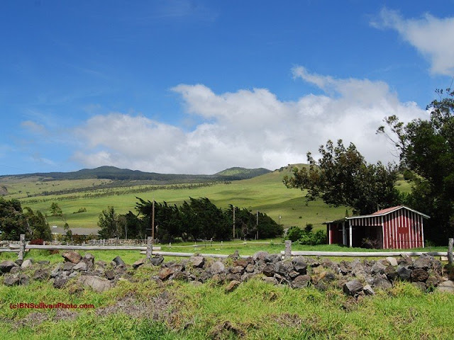 B N Sullivan Photography: Trade Wind Day in Rural Hawaii