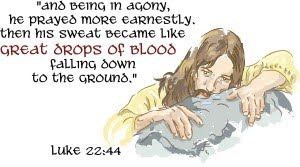 EMERGENCE: AND THEN, JESUS’ SWEAT FELL ON THE GROUND LIKE DROPS OF ...