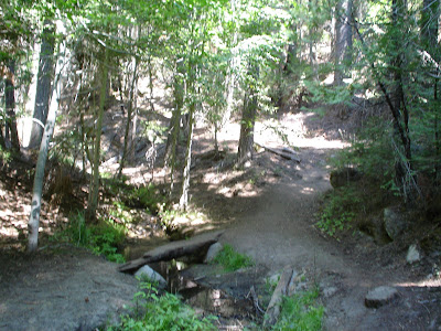 James' MTB Blog: Kernville/Sequoia Trip Day 4: Camp Nelson