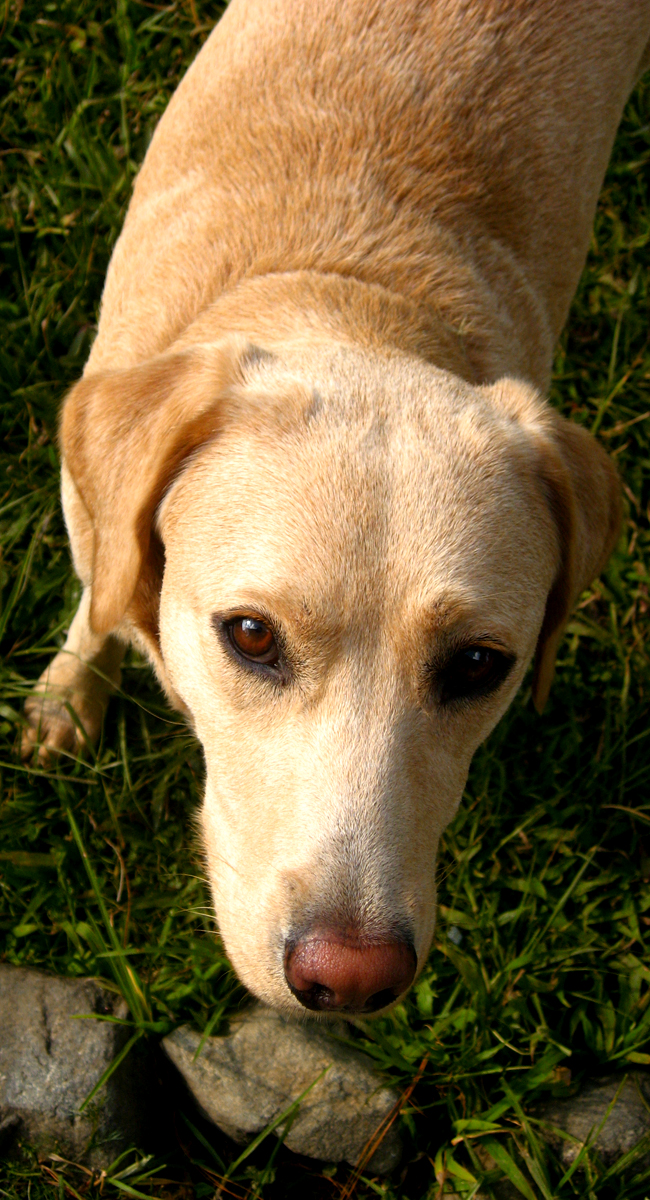 Release the Mayten!: Carita de Mayté