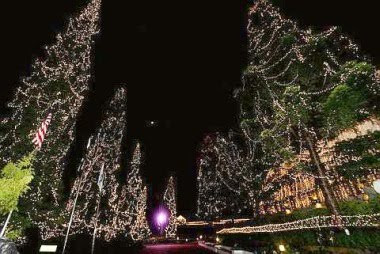 YTL Cameron Highlands Resort Christmas ~ Cameron Highlands News