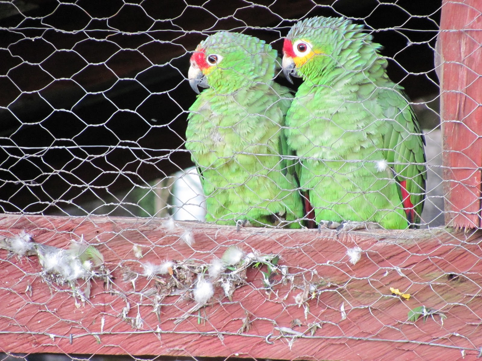 fotografiasquehablan: LORAS