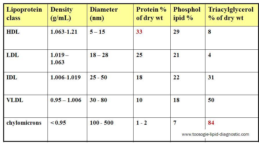 TooSogiE Lipid-Diagnostic: STRUCTURE AND FUNCTIONS OF LIPOPROTEINS