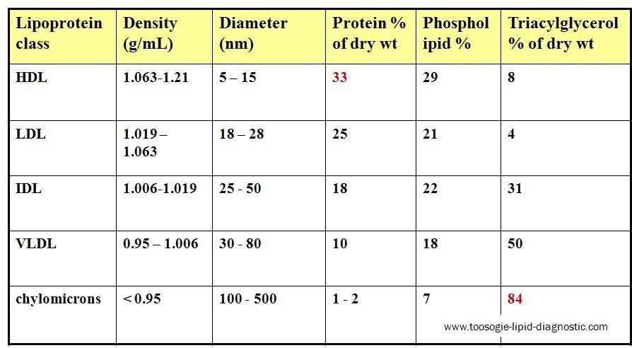 TooSogiE Lipid-Diagnostic: STRUCTURE AND FUNCTIONS OF LIPOPROTEINS